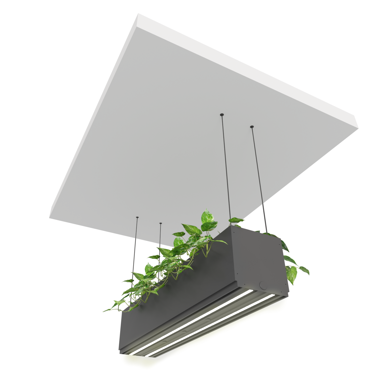 LARGO-CEILING – LARGO planter